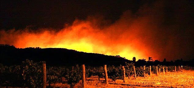 Fire At The Winery - Rural Agricultural Fire Prevention for Wineries ...